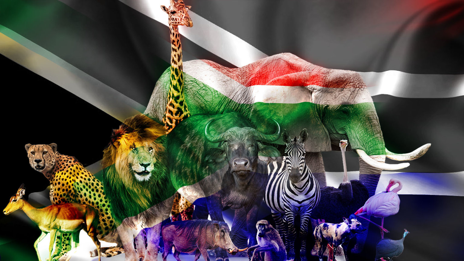 Abantu baseNingizimu Afrika bathi “Cha!” ekukhipheni ngaphandle inyama ...