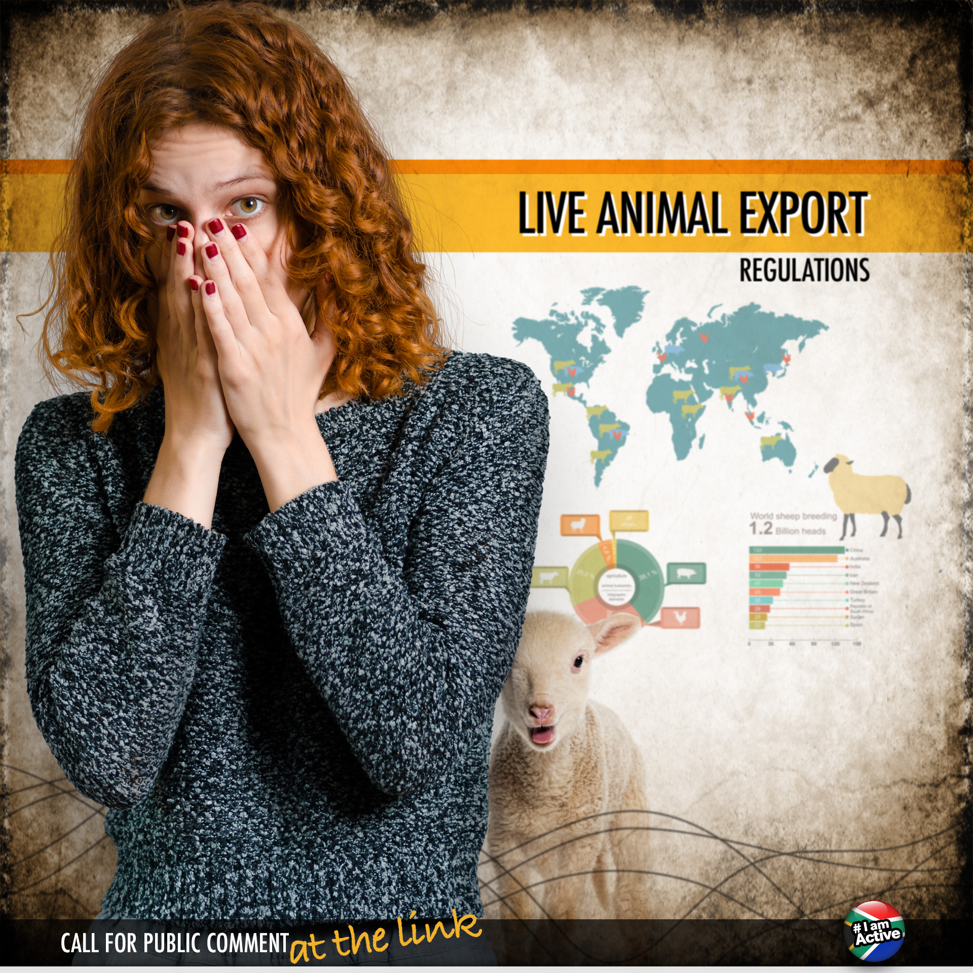 Call for public comment on the live export of animals by sea - Dear ...